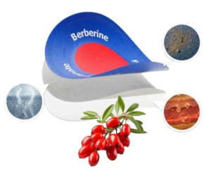 Metabalance Patch Canada ️ Official Site Weight Loss Support Without Pills